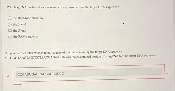 Solved Which sgRNA portion does a researcher customize to | Chegg.com