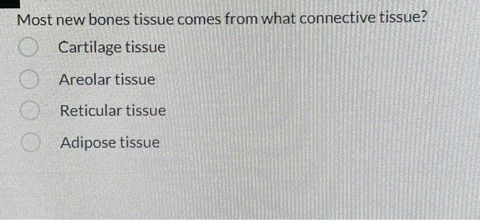 Solved Most new bones tissue comes from what connective | Chegg.com