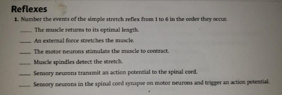 Solved number the events of the simple stretch reflex from 1 | Chegg.com