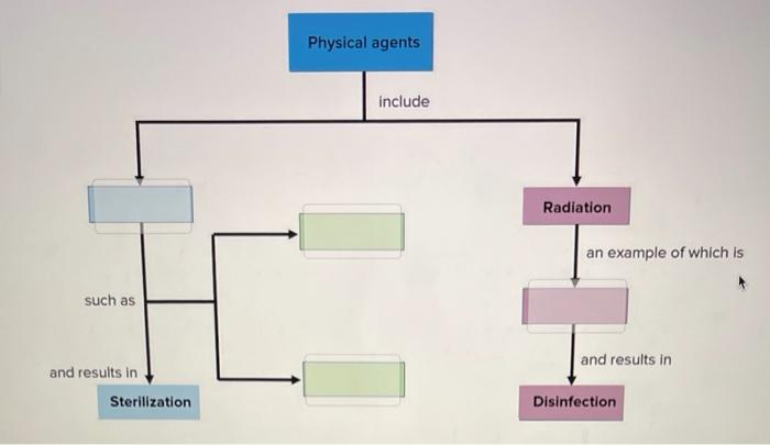 Solved Please move the correct terms into their | Chegg.com