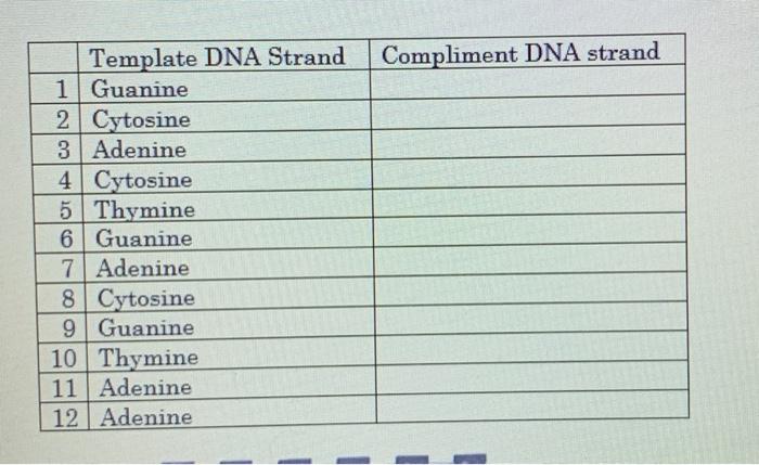 Solved Compliment DNA strand Template DNA Strand 1 Guanine 2 | Chegg.com