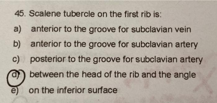 Solved 45. Scalene tubercle on the first rib is: a) anterior | Chegg.com