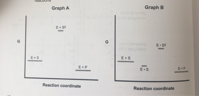 Solved 1) Do enzymes effect activation energy, overall delta | Chegg.com