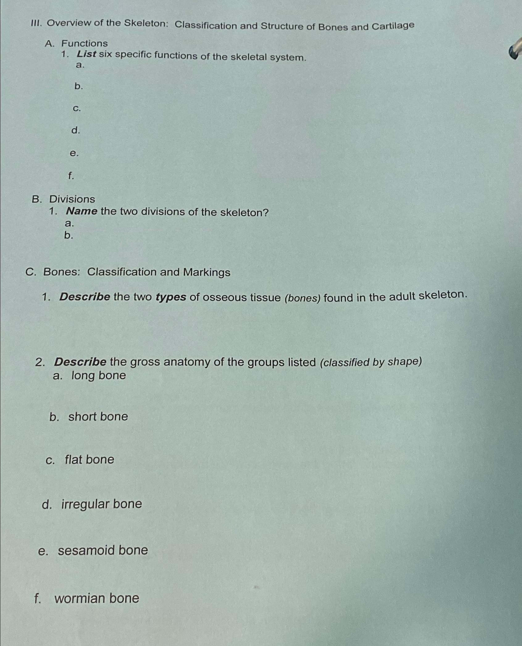Solved III. Overview of the Skeleton: Classification and | Chegg.com