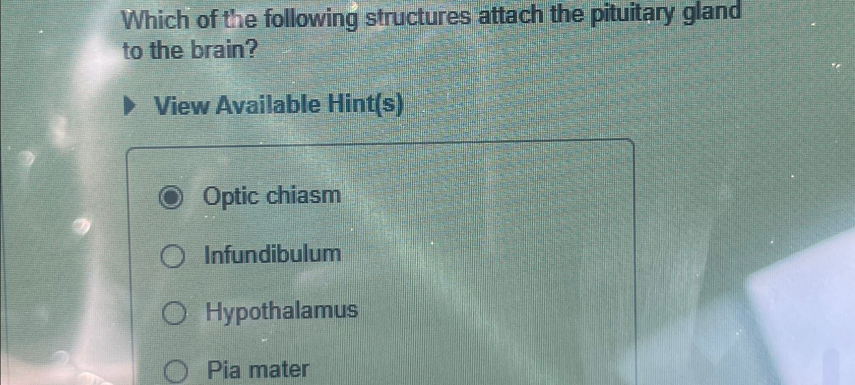 Solved Which of the following structures attach the | Chegg.com