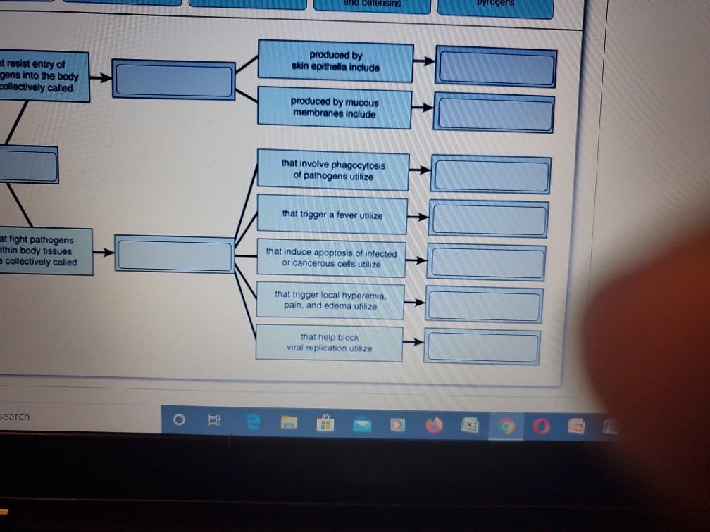 Solved complete the concept map to describe surface membrane | Chegg.com