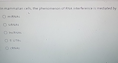 Solved In mammalian cells, the phenomenon of RNA | Chegg.com