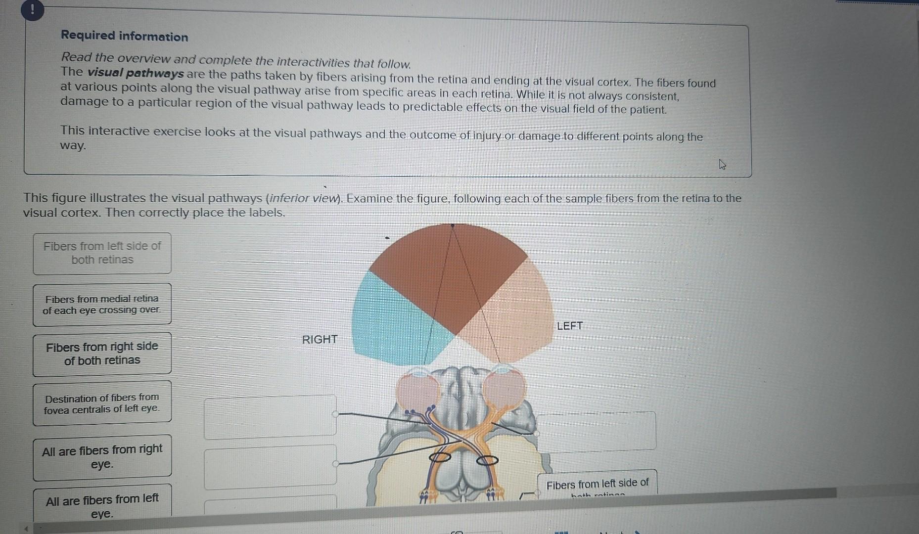 Solved Required information Read the overview and complete | Chegg.com