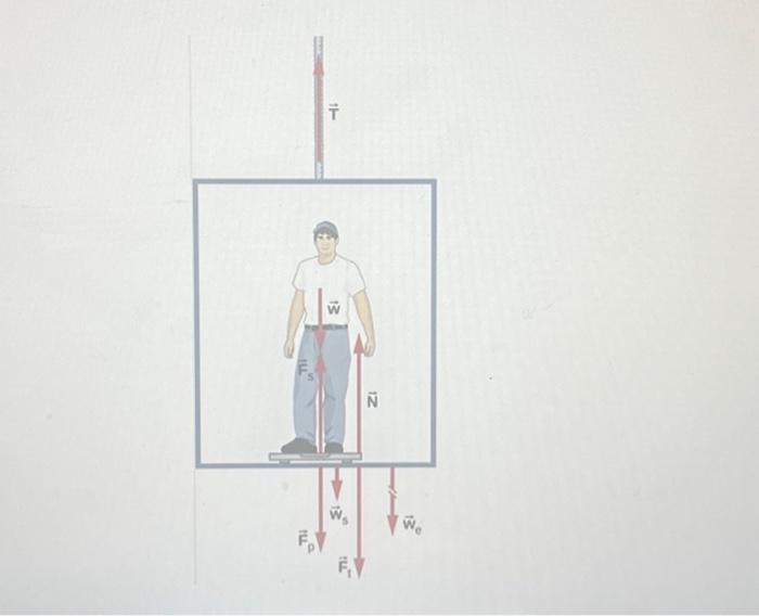 Solved (a) If the person standing on the scale in the | Chegg.com
