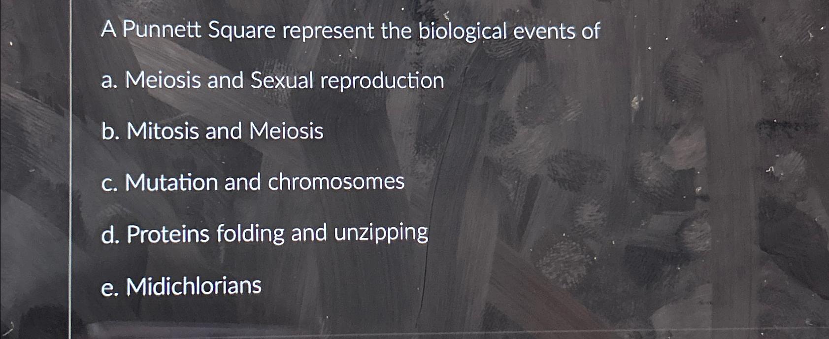 Solved A Punnett Square represent the biological events ofa. | Chegg.com