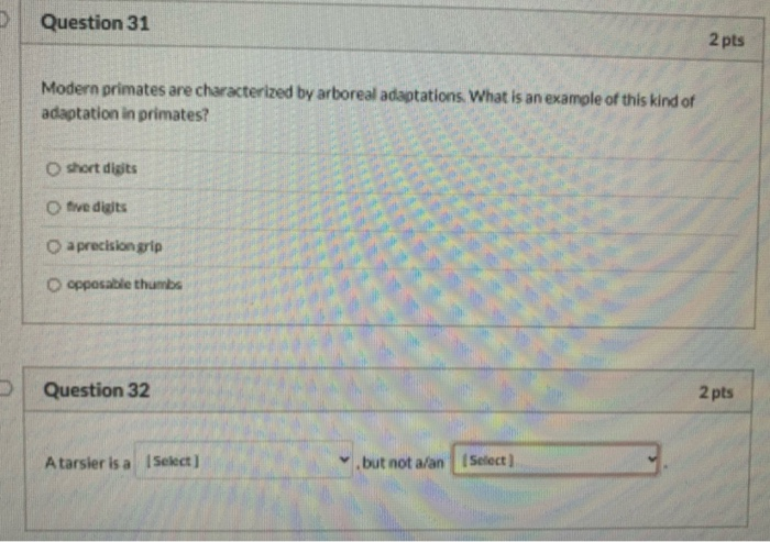 Solved Question 31 2 pts Modern primates are characterized | Chegg.com
