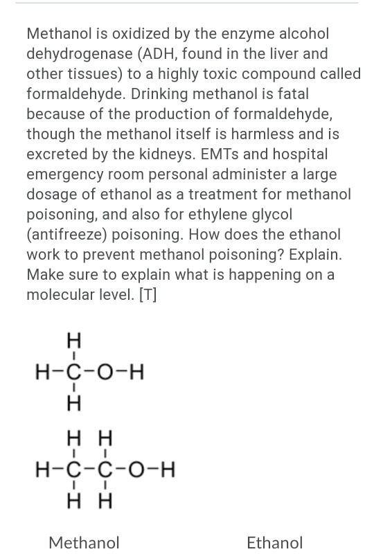 Solved Methanol is oxidized by the enzyme alcohol | Chegg.com