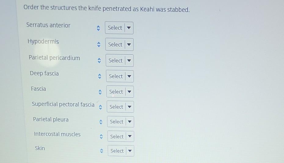 Solved Order the structures the knife penetrated as Keahi | Chegg.com