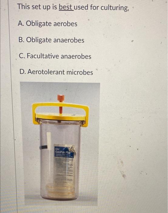 Solved This set up is best used for culturing, A. Obligate | Chegg.com
