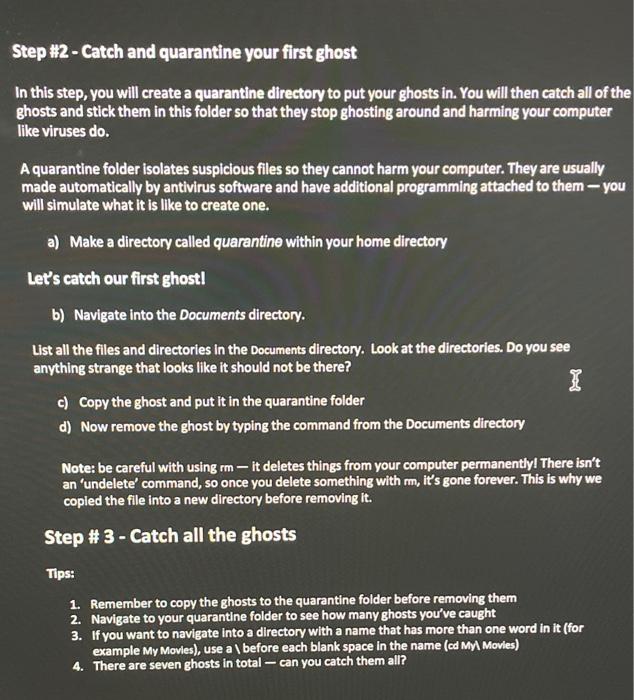 Solved Hack the Pi's terminal and learn basic cybersecurity | Chegg.com