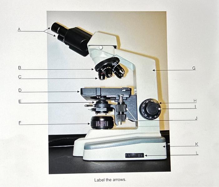 Solved Label the arrows.Identify the parts of a compound | Chegg.com