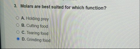 Solved Molars are best suited for which function?A. ﻿Holding | Chegg.com
