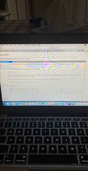 Journal 1 / Explain one small or large group activity | Chegg.com