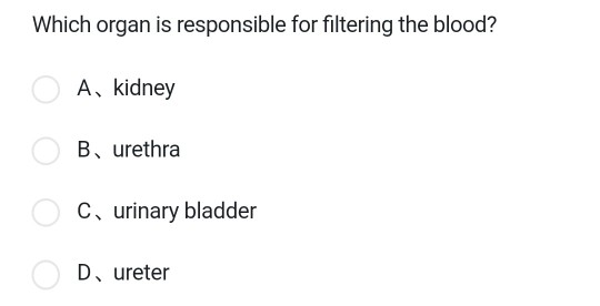 Solved Which organ is responsible for filtering the blood? | Chegg.com