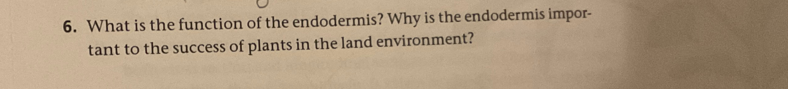Solved What is the function of the endodermis? Why is the | Chegg.com