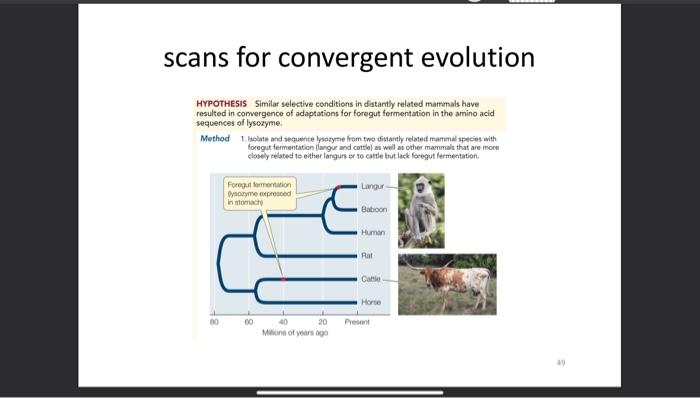 Solved evolution and genetics course. what is the convergent | Chegg.com