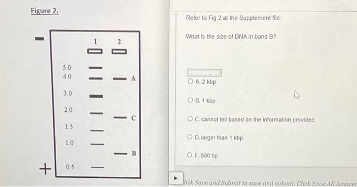 Solved Figure 2. Refer to Fig 2 at the Supplement file: What | Chegg.com
