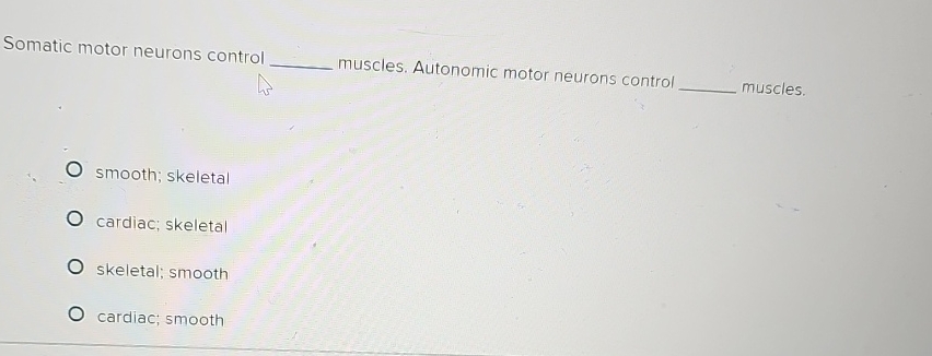 Solved Somatic motor neurons control muscles. Autonomic | Chegg.com
