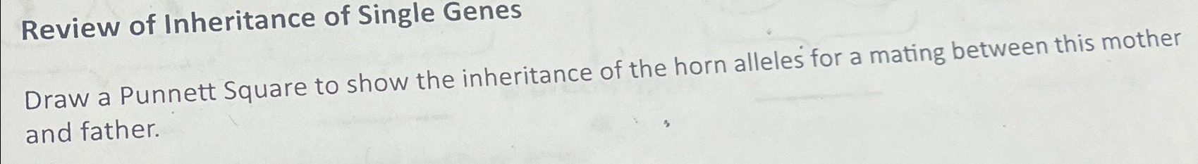 Solved Review of Inheritance of Single GenesDraw a Punnett | Chegg.com