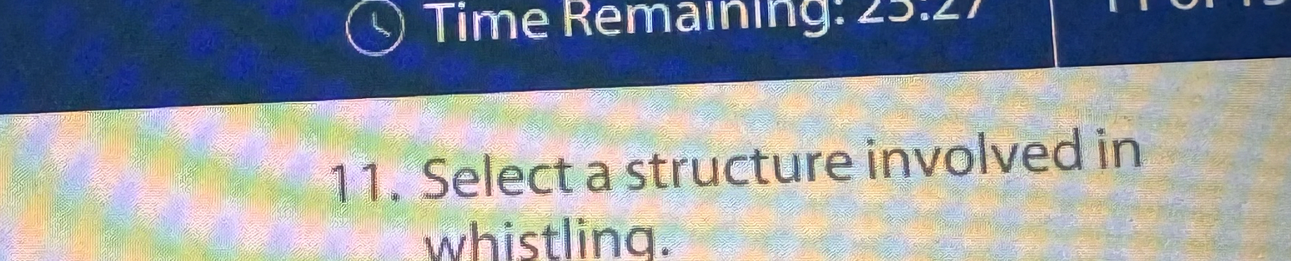 Solved Select a structure involved in whistling. | Chegg.com