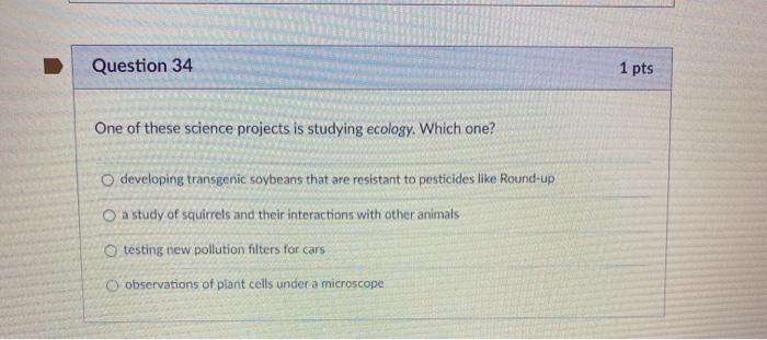 Solved Question 33 1 pts Starfish, angelfish clownfish, sea | Chegg.com