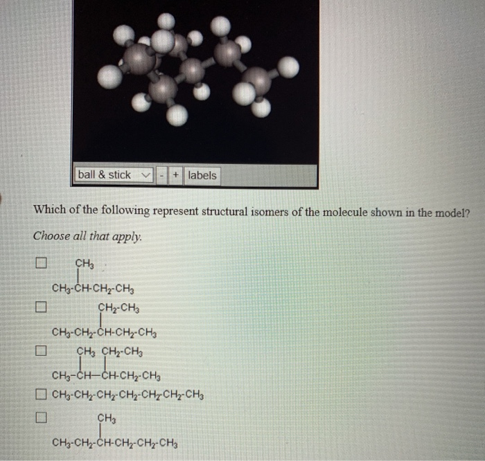 Solved CI What is the name of the following? NO2 +labels | Chegg.com