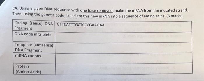 Solved C3. Using a given DNA sequence with one base added, | Chegg.com