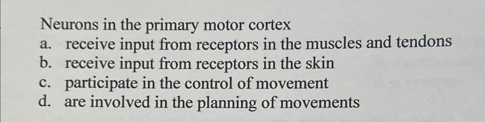 Solved Neurons in the primary motor cortexa. ﻿receive input | Chegg.com