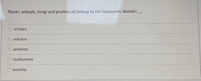 Solved Plants, animals, fungi and protists all belong to the | Chegg.com