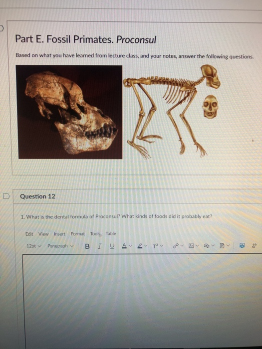 Solved Part E. Fossil Primates. Proconsul Based on what you | Chegg.com