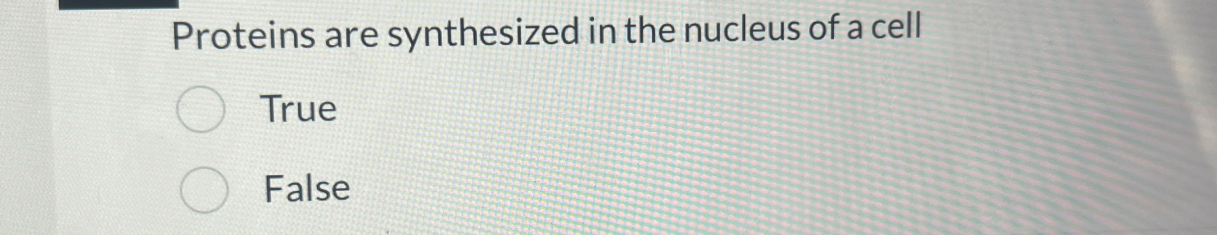 Solved Proteins are synthesized in the nucleus of a | Chegg.com