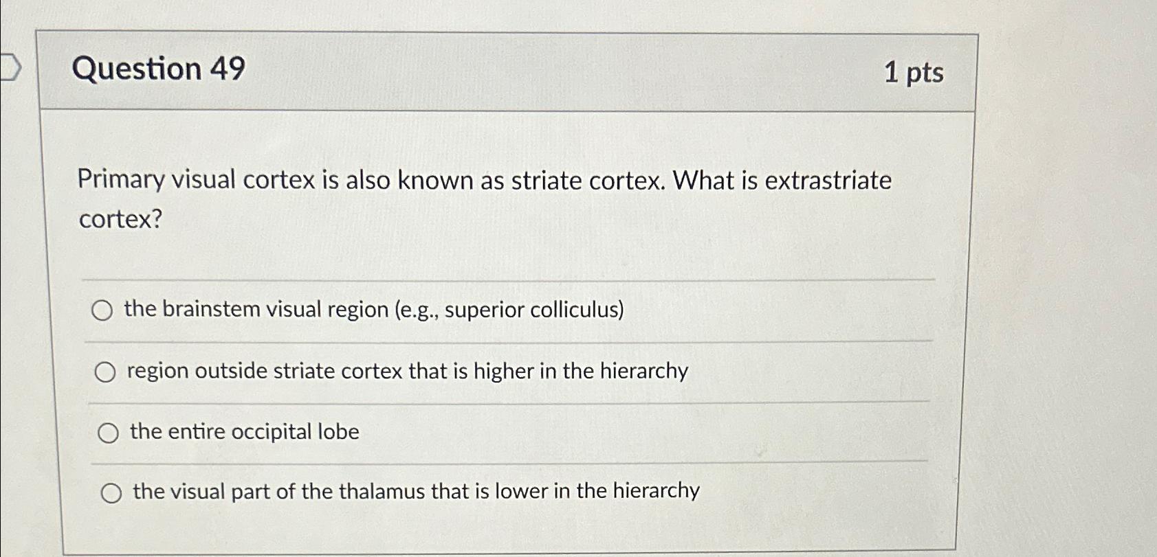 Solved Question 491 ﻿ptsPrimary visual cortex is also known | Chegg.com