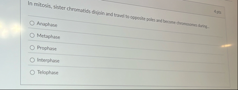 Solved In mitosis, sister chromatids disjoin and travel to | Chegg.com
