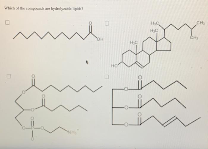 Solved Which of the compounds are hydrolyzable lipids? мил | Chegg.com