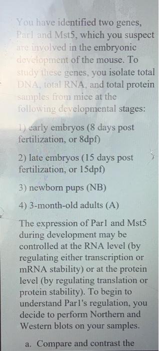 You have identified two genes, Parl and Mst5, which | Chegg.com