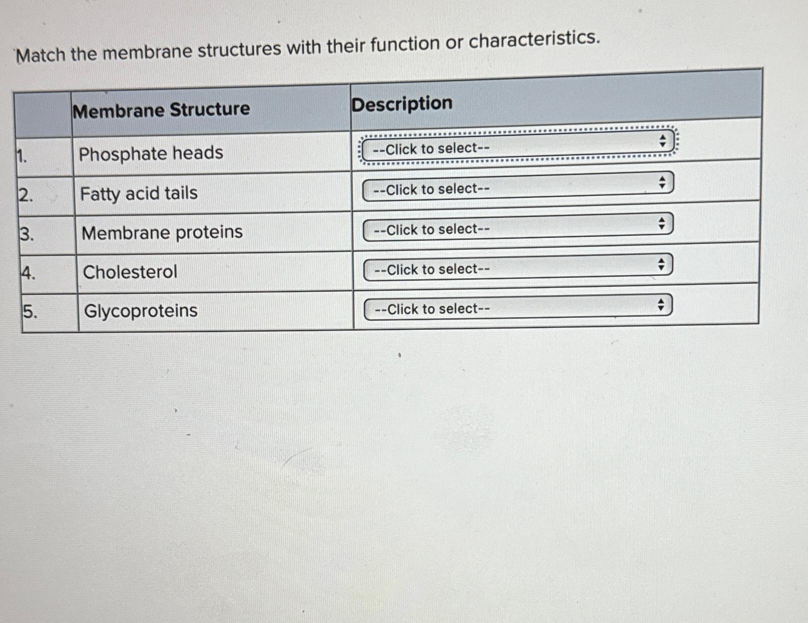 Solved Match the membrane structures with their function or | Chegg.com