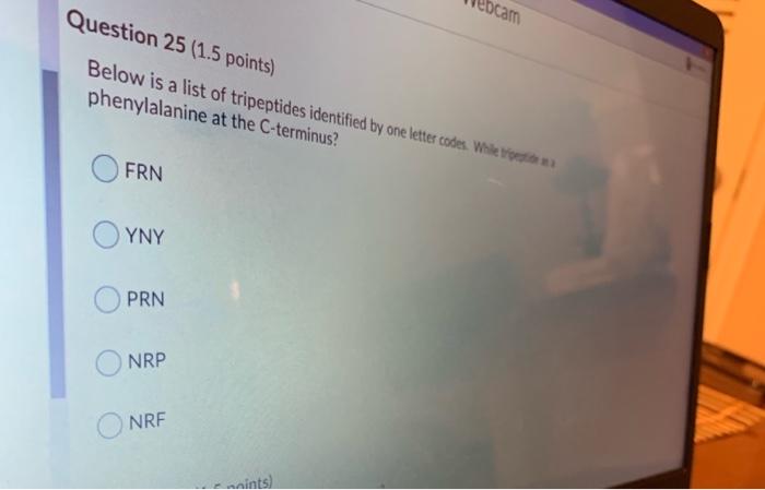 Solved Question 25 (1.5 points) bcam Below is a list of | Chegg.com