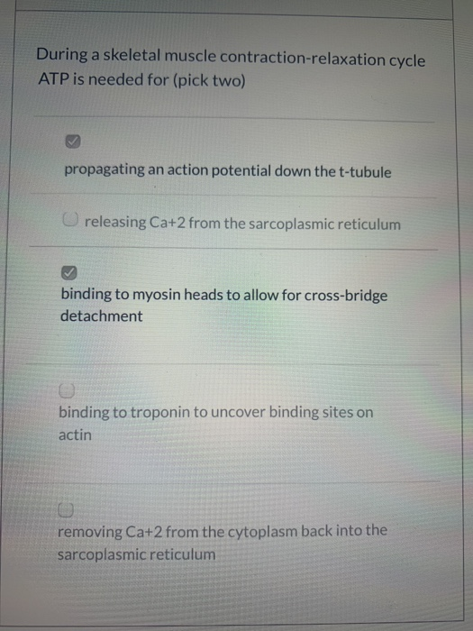 Solved During a skeletal muscle contraction-relaxation cycle | Chegg.com
