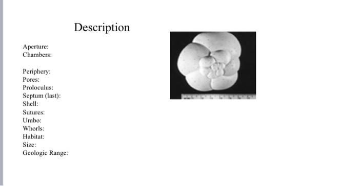 Description Aperture: Chambers: Periphery: Pores: | Chegg.com