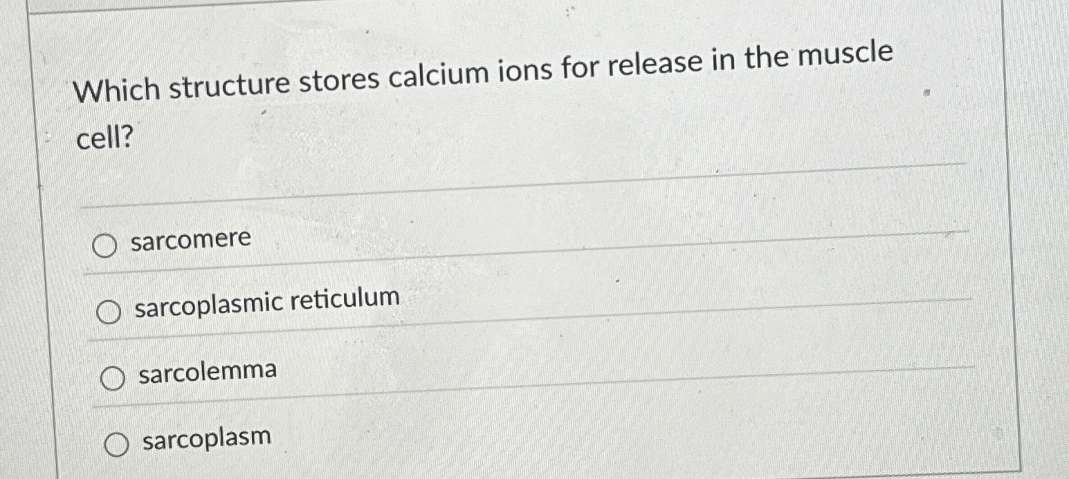 Solved Which structure stores calcium ions for release in | Chegg.com