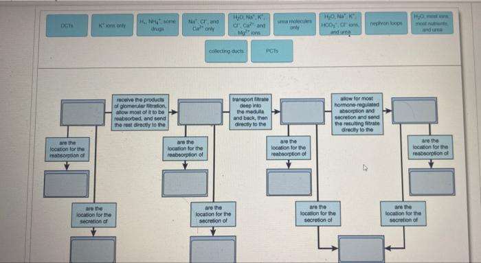 Solved Part A Complete the Concept Map to describe the | Chegg.com