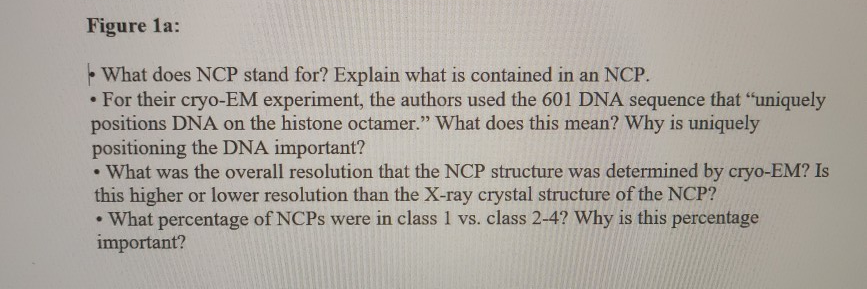 Solved Figure 1a: What does NCP stand for? Explain what is | Chegg.com