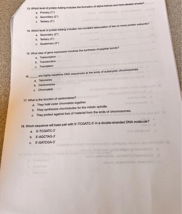 Solved All questions are wilh 1 point unless otherwise | Chegg.com