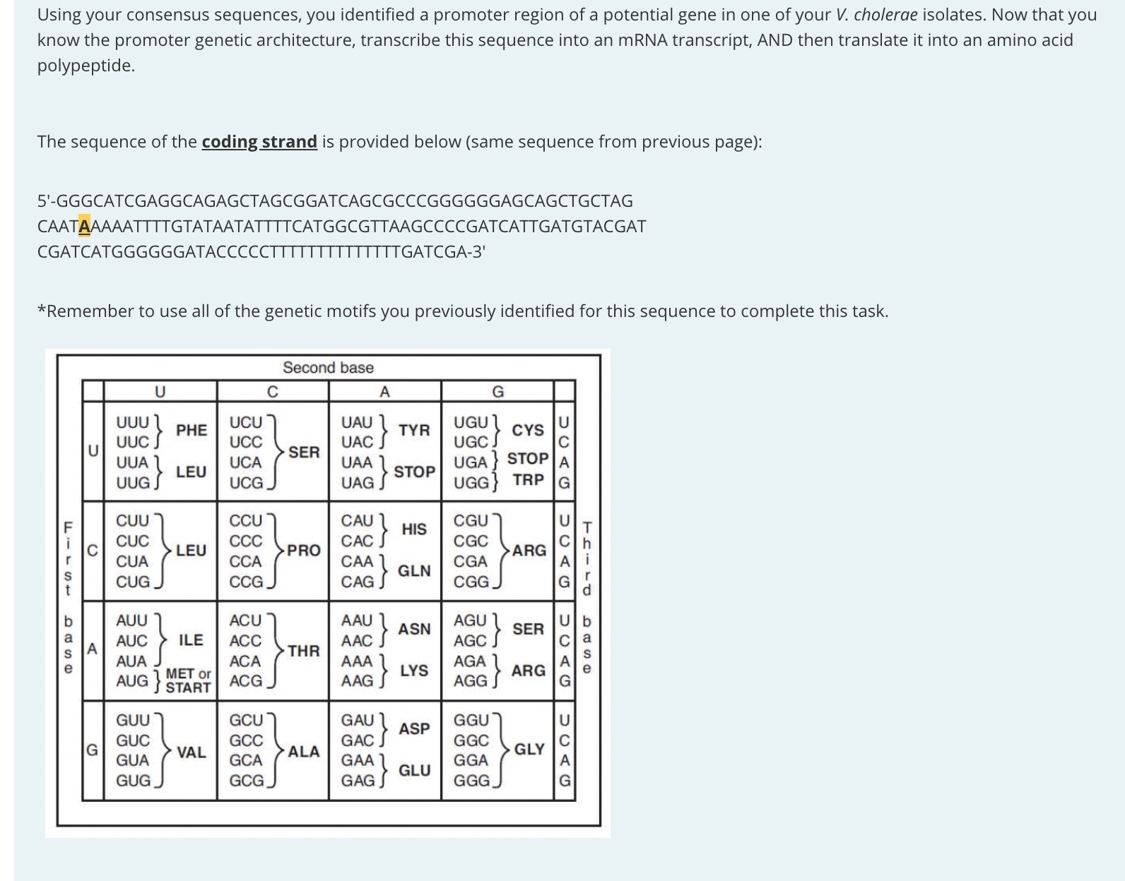 Solved Based on the coding stand of DNA provided above, | Chegg.com