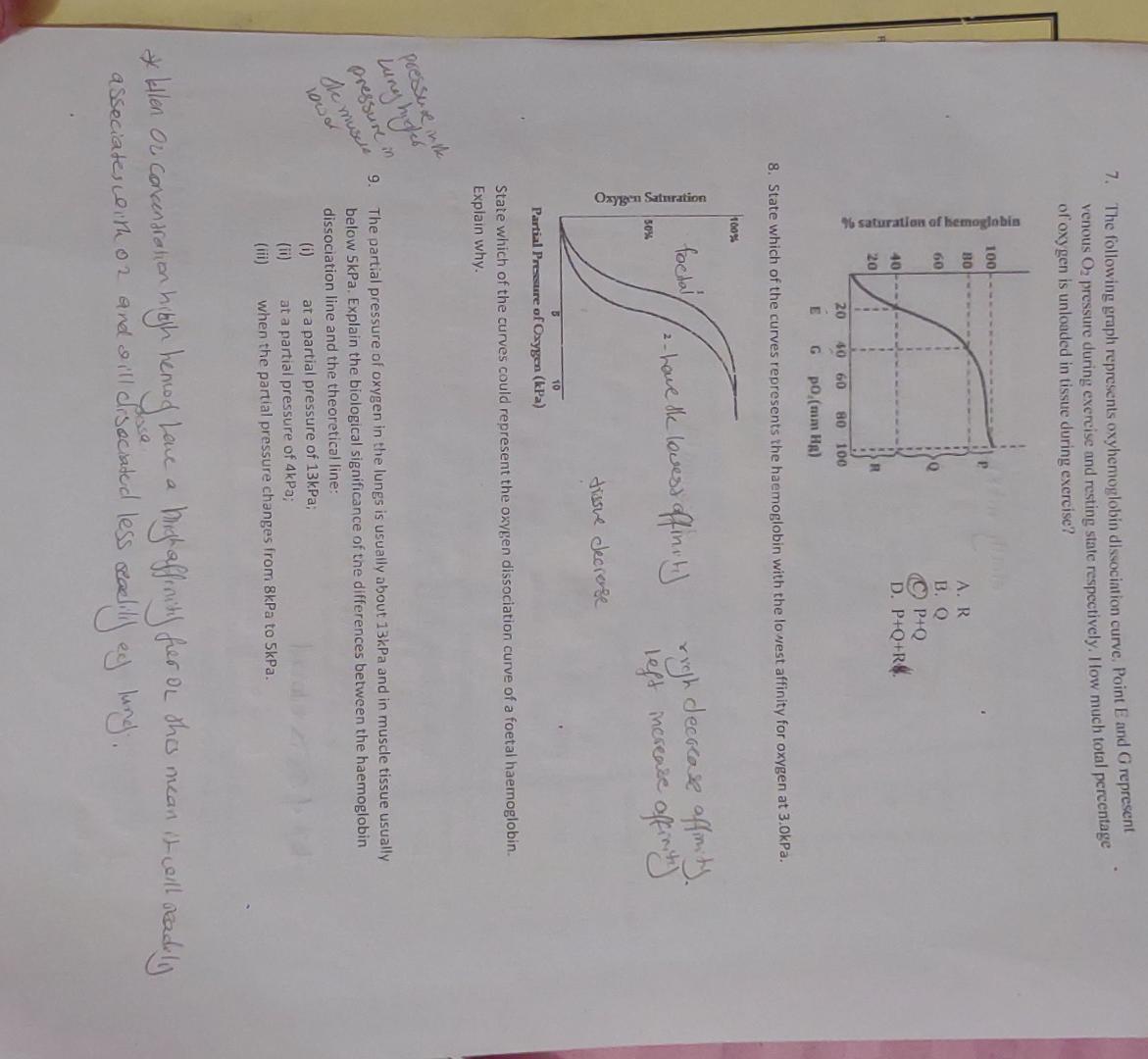 Solved 7. The following graph represents oxyhemoglobin | Chegg.com